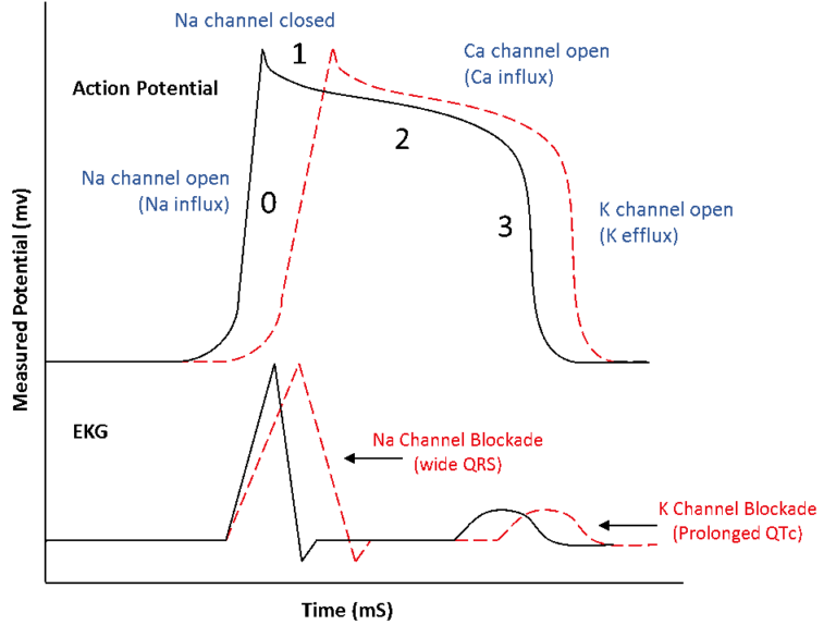 The QT Nomogram: Assessing Risk of Torsades de Pointes when the QT ...