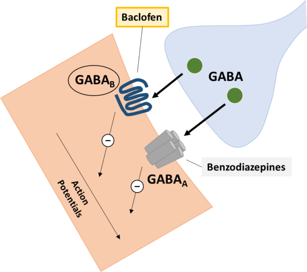 Baclofen Overdose or Brain Death? - Missouri Poison Center