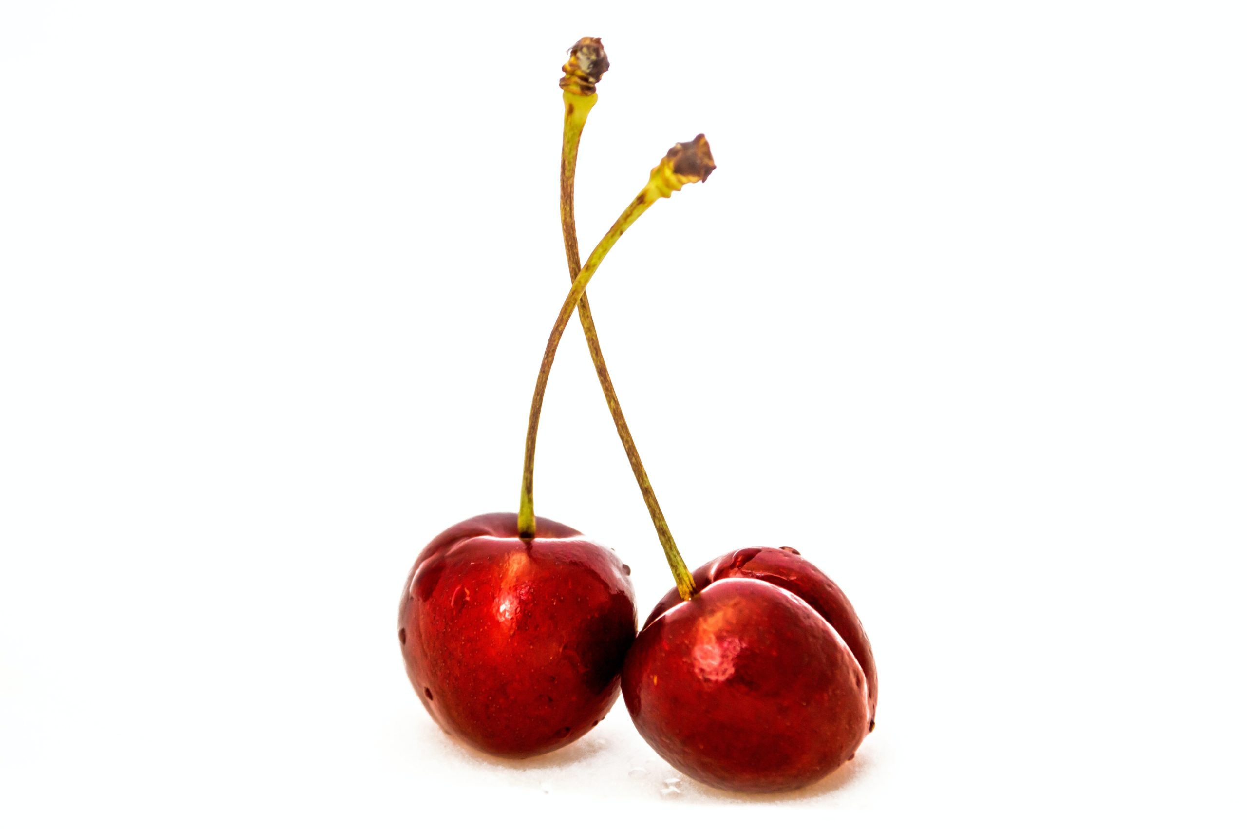 Are Cherry Pits Really Poisonous To Dogs Are Cherry Pits Really Poisonous To Dogs