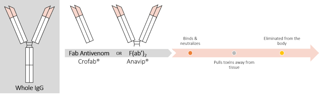 SPECIAL ALERT: How to Properly Manage Snake Bites - Missouri Poison Center