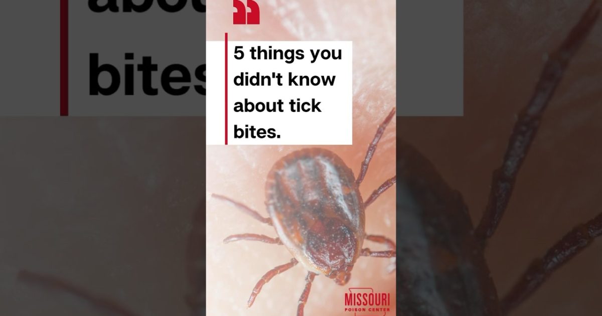 Tick Bites and Tick-Borne Diseases: What You Need to Know in Missouri ...
