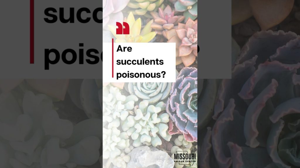 The 4 Routes of Poison Exposures - Missouri Poison Center