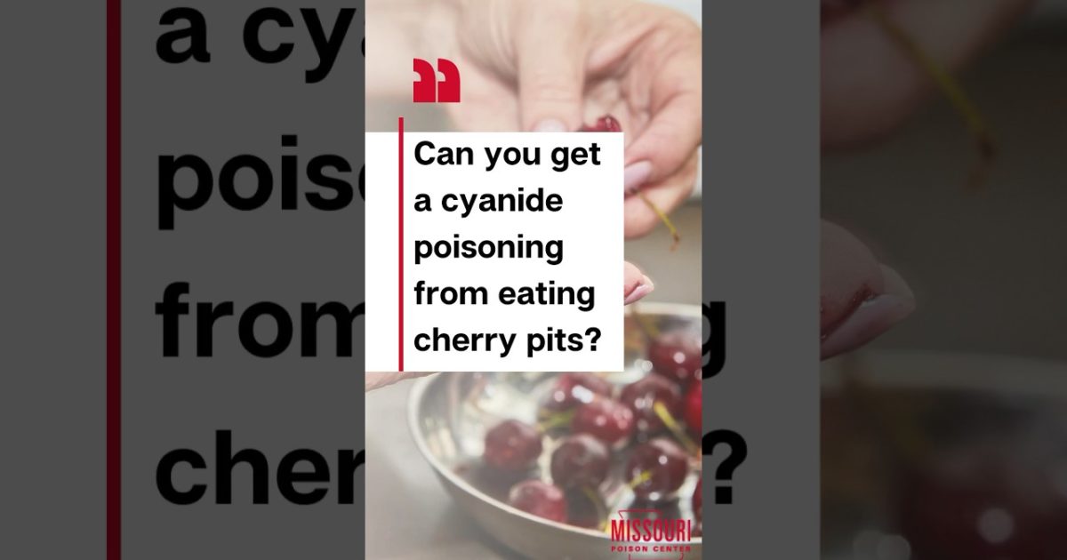 Can You Get Cyanide Poisoning From Cherry Pits? - Missouri Poison Center